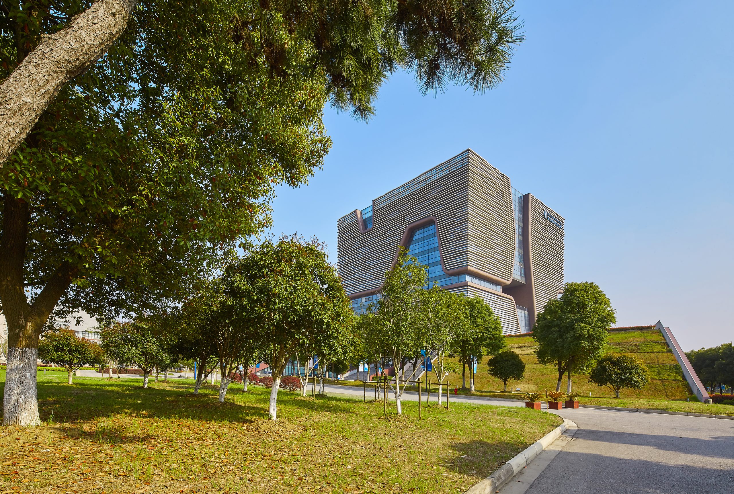 Teaching – a phoenix rising from the ashes - Xi'an Jiaotong-Liverpool ...